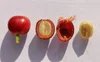 The Anatomy of a Coffee Cherry: A Simple Guide to a Complex Fruit ...
