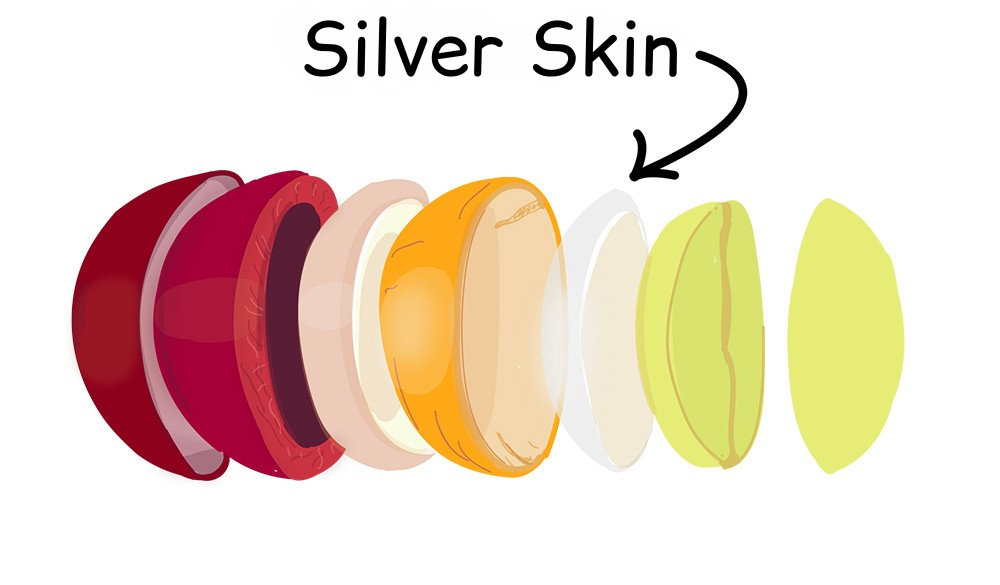 The Anatomy of a Coffee Cherry: A Simple Guide to a Complex Fruit ...
