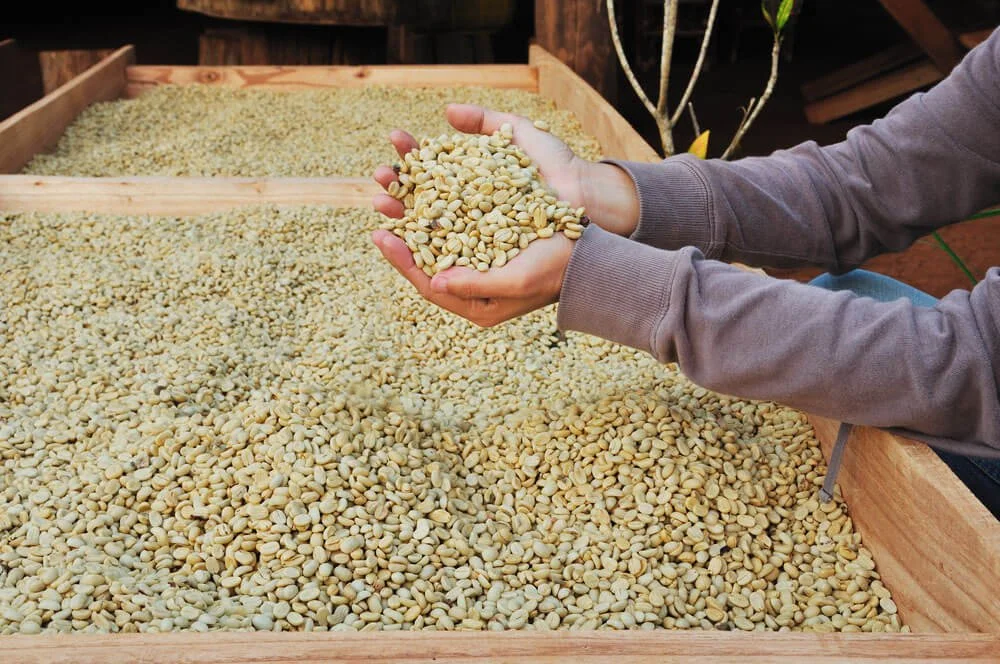 What is hulling and why it matters — Nøthing Roastery