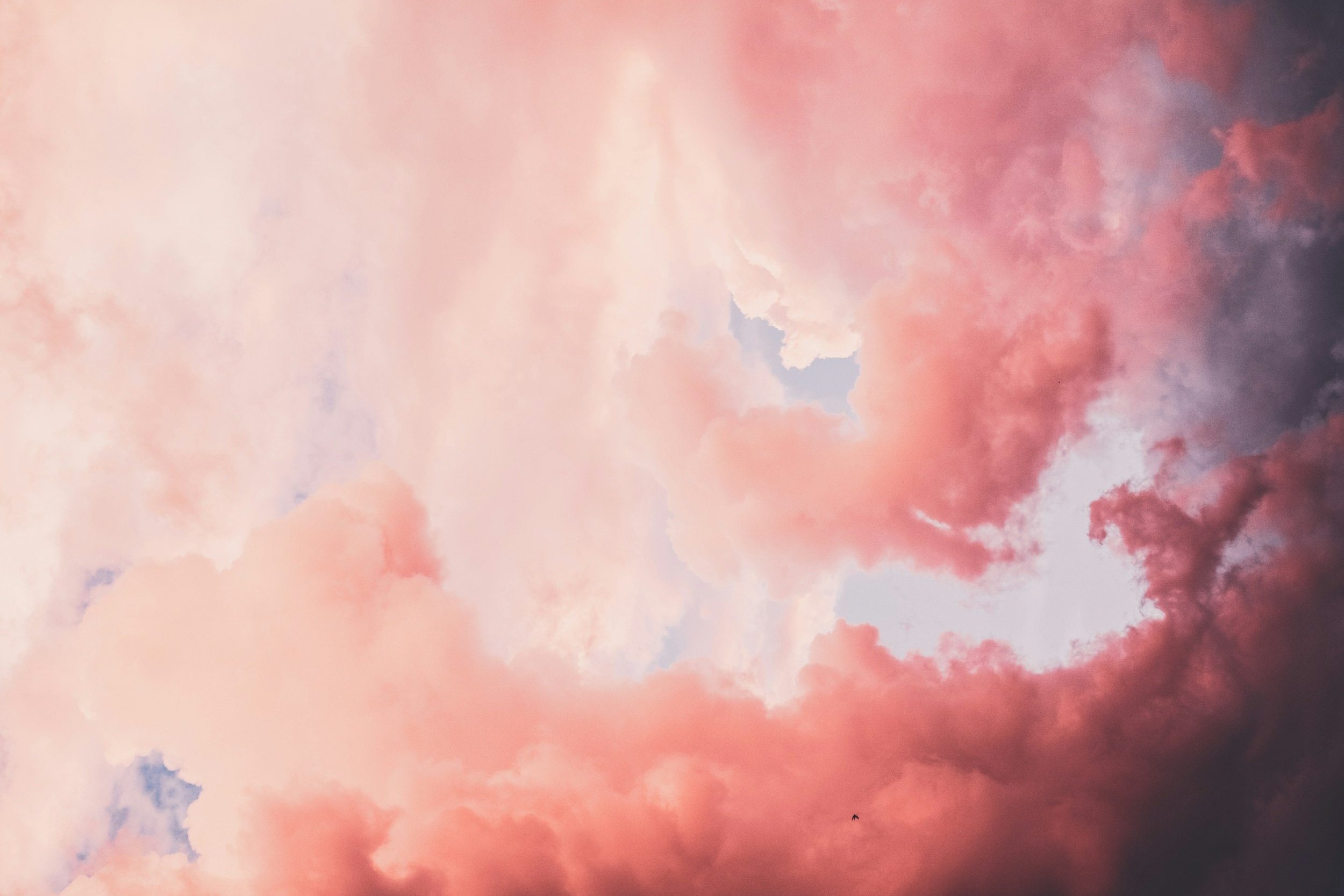 IRIS Training Collective