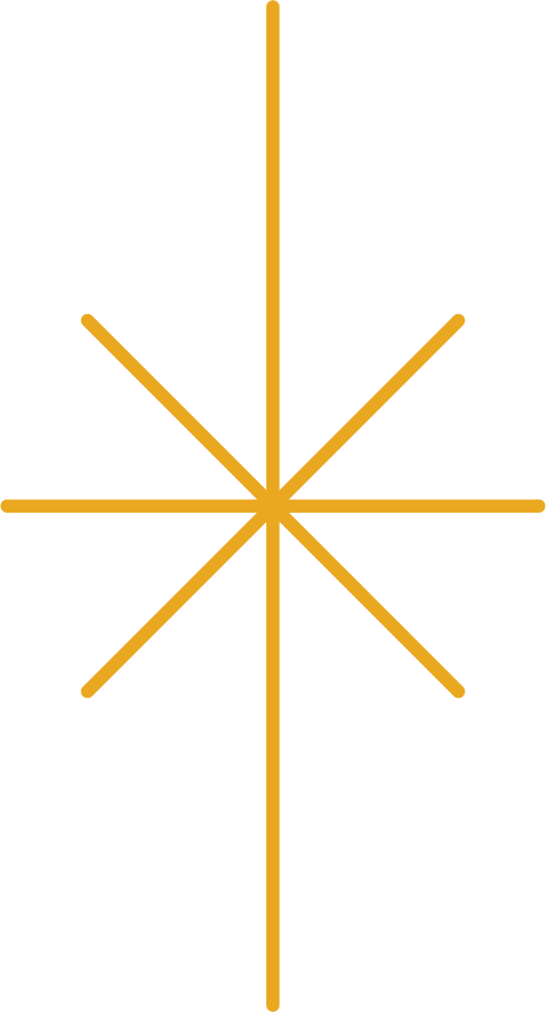 IRIS Training Collective