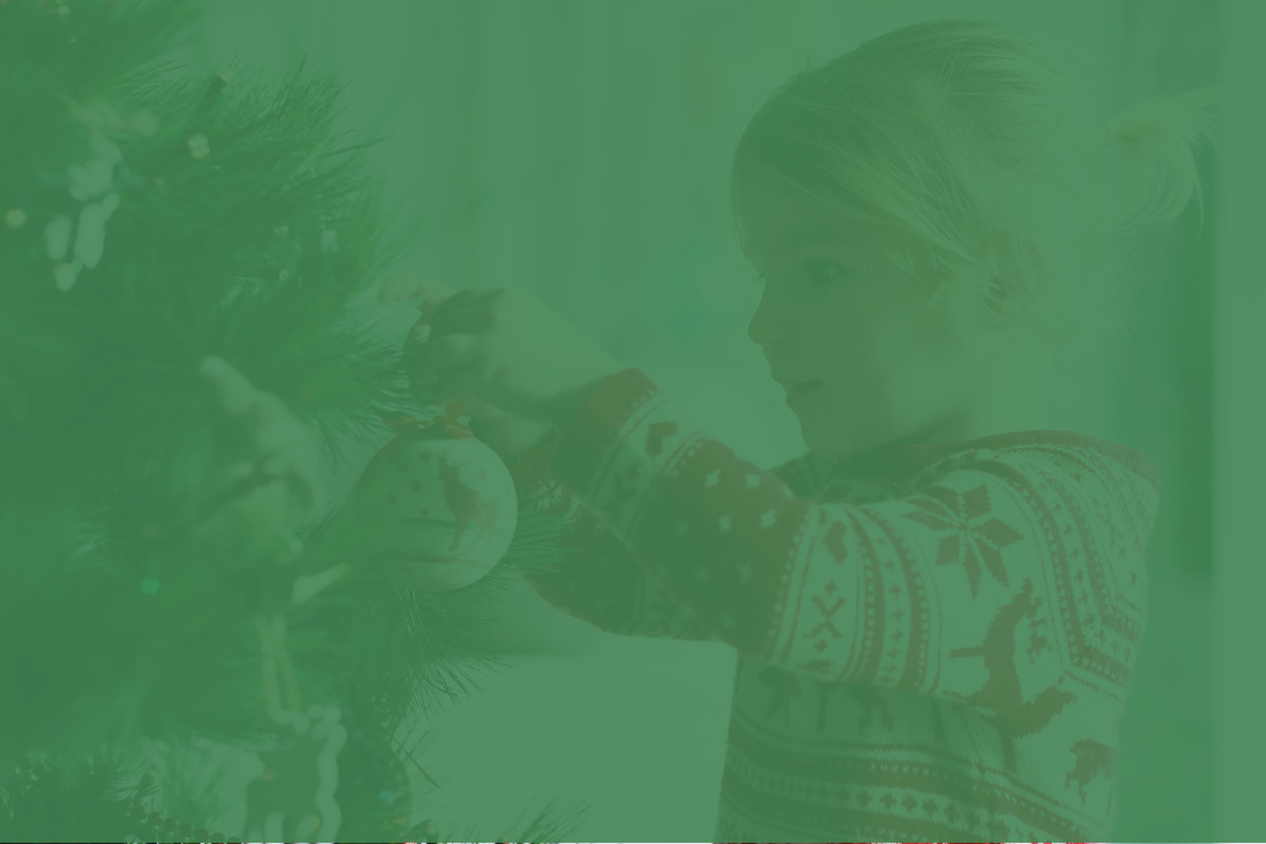 Northern Valley Catholic Social Service | NVCSS