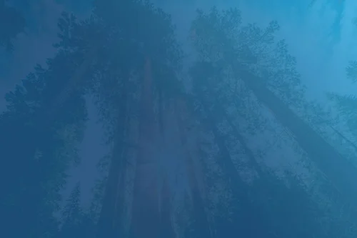 Northern Valley Catholic Social Service | NVCSS