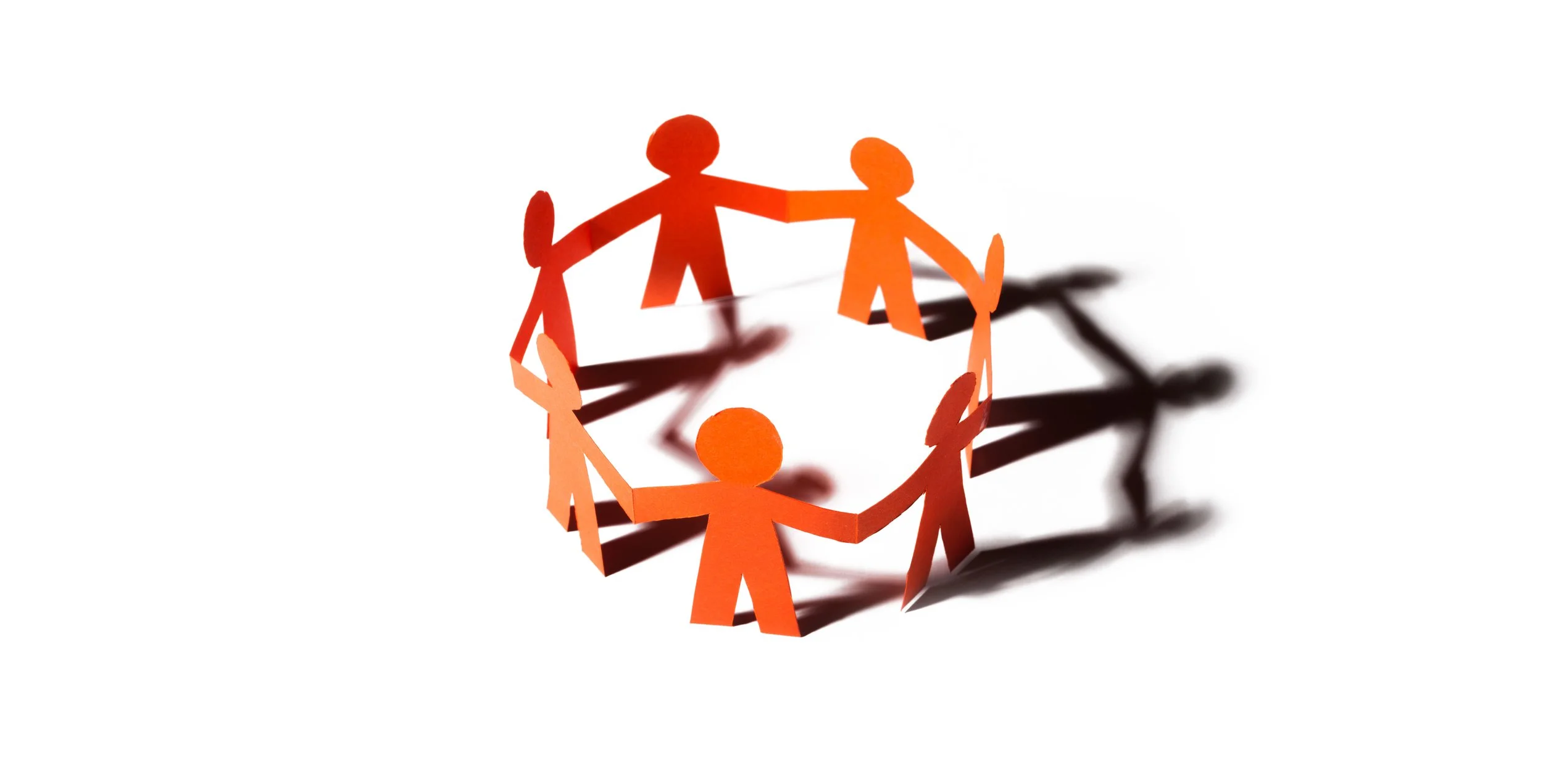 Our Board | Meet Our Leaders — Community Industry Group
