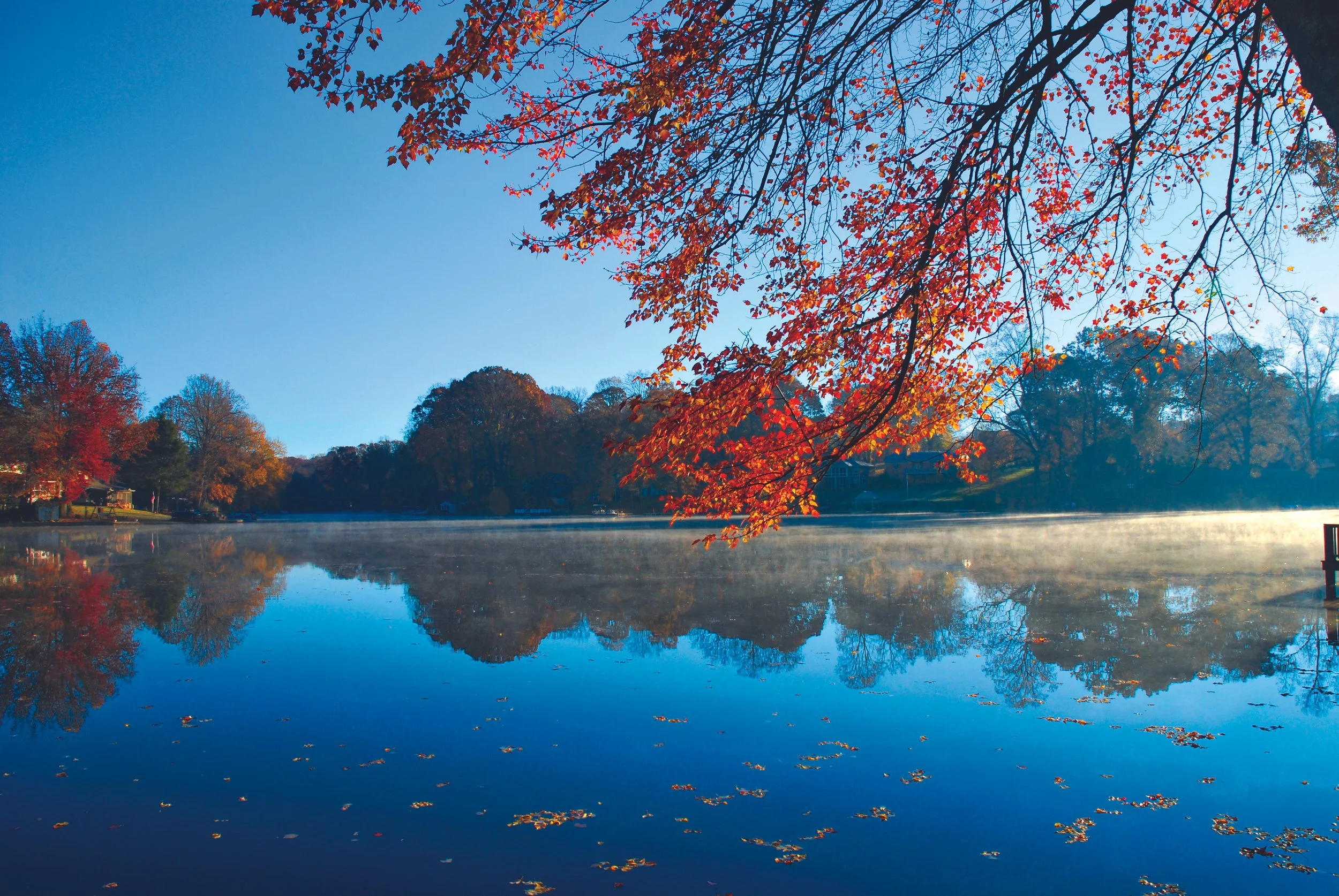 Timber Lake Conservancy - Preserving Timber Lake