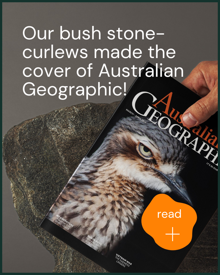 Odonata Foundation | We Save Species