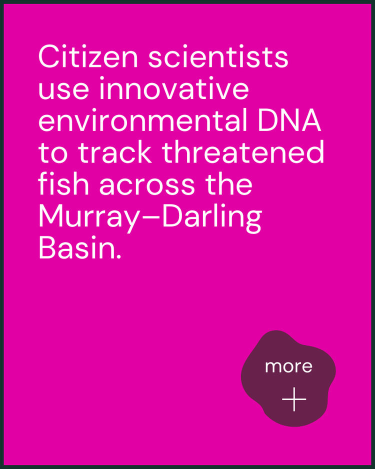 Odonata Foundation | We Save Species