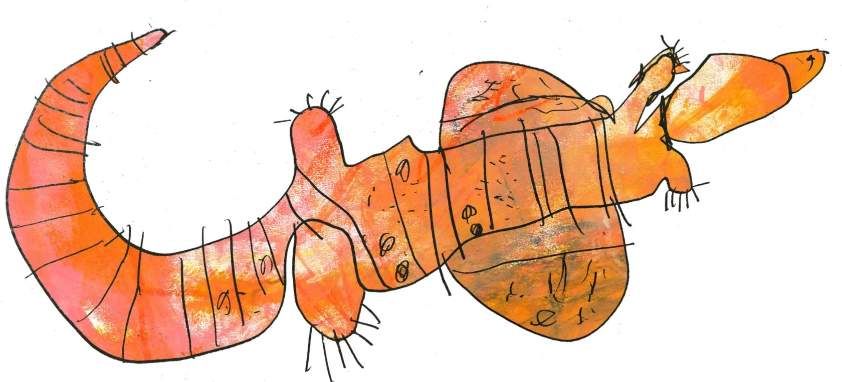 Sir David Brand School