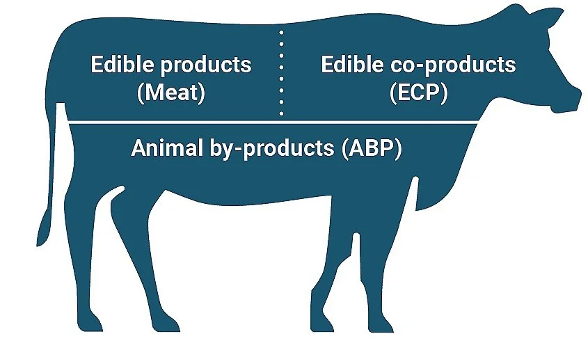 What are Animal-By-Products? — FABRA UK