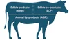 What are Animal-By-Products? — FABRA UK