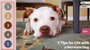 3. How to Make Storyline Interactive [without Code] — Michelle Johnson ...