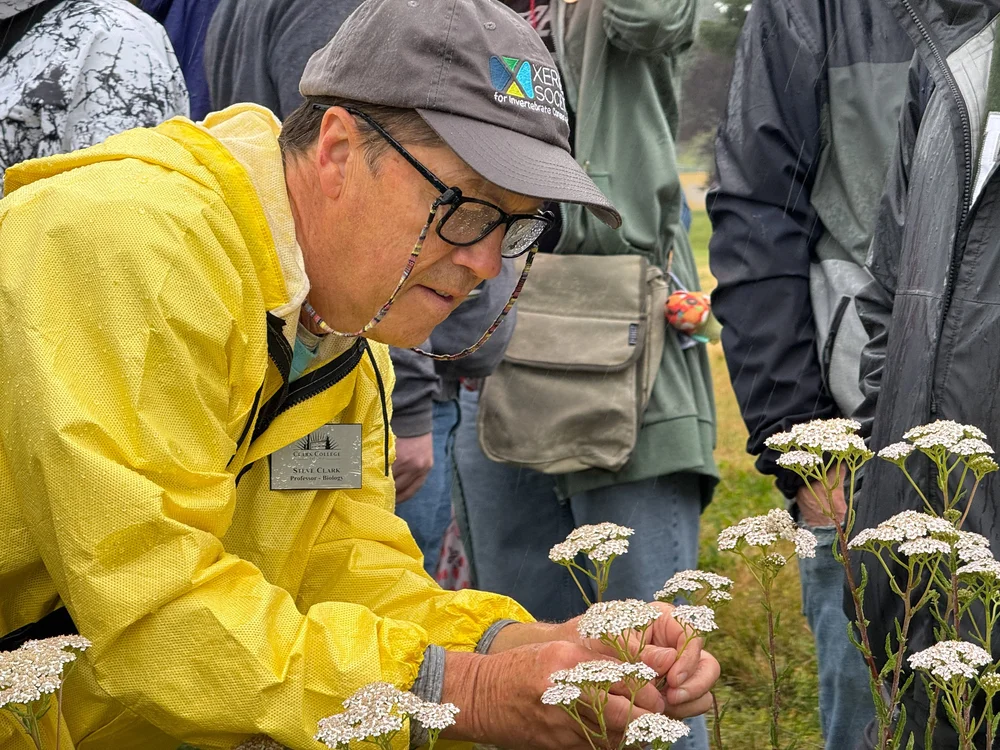Vancouver Pollinator Festival