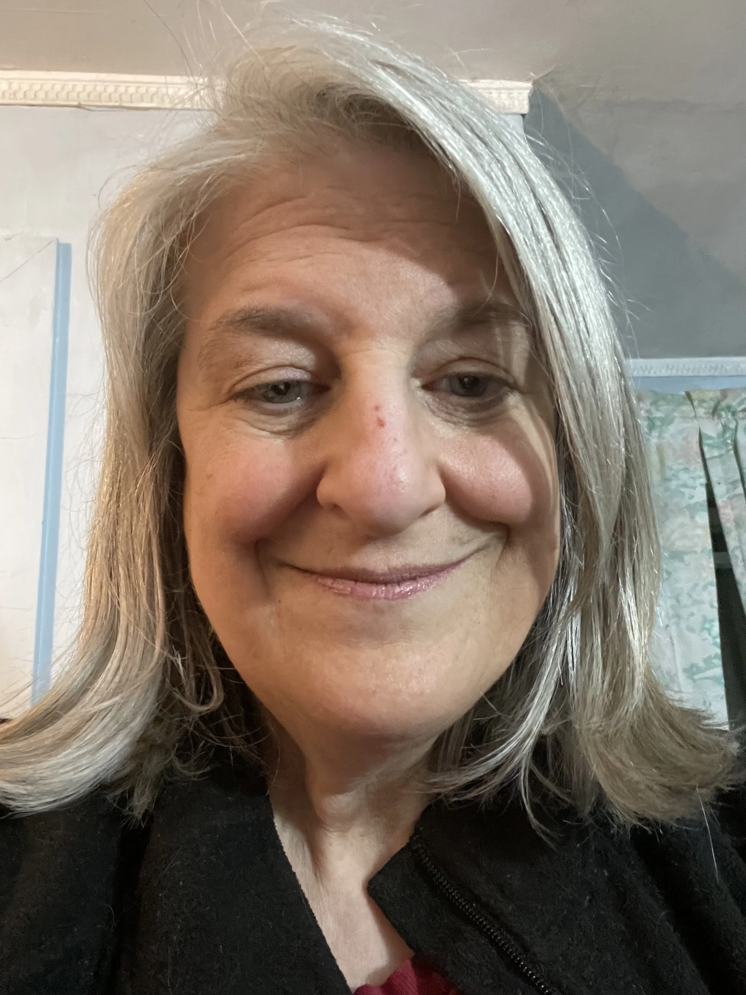 The Last Landline — Four Tulips Publishing