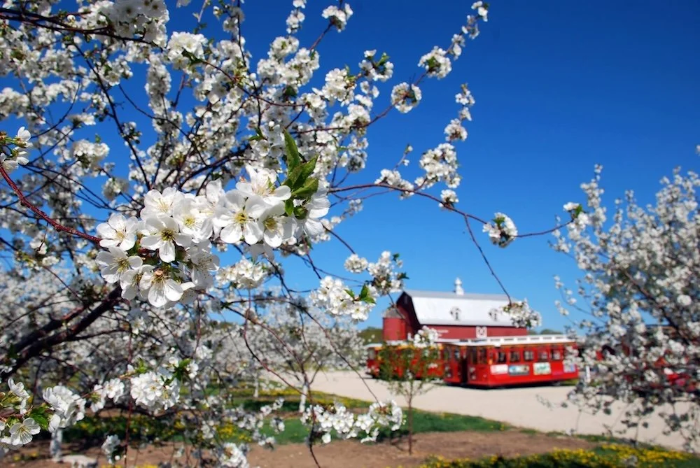 Door County Memorial Day weekend 2026 Guide — North Shore Family Adventures