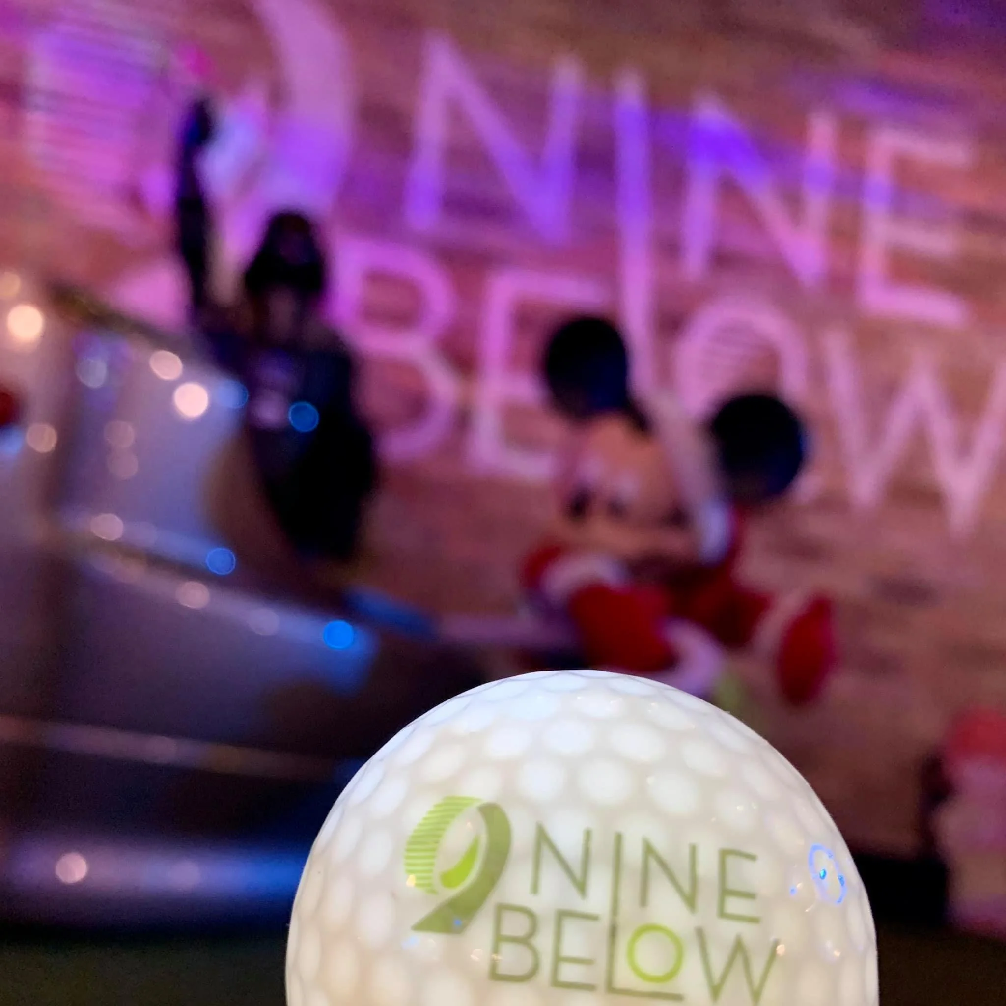 A Mini Golf Guide to Milwaukee — North Shore Family Adventures