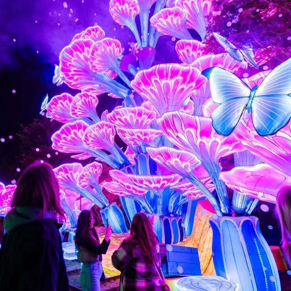 China Lights 2025: Magical Forest Family Guide — North Shore Family ...