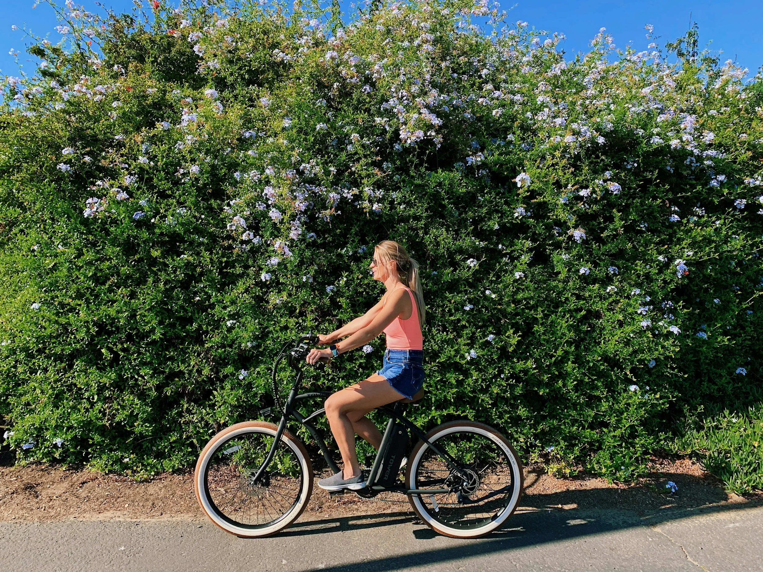 E-bikes — Road Trip Adventures — North Shore Family Adventures