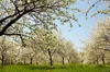 Spring in Door County: The Ultimate Family Activities Guide — North ...