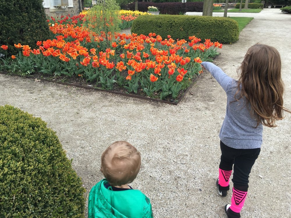 Boerner Botanical Gardens: Milwaukee area hidden gem — North Shore ...