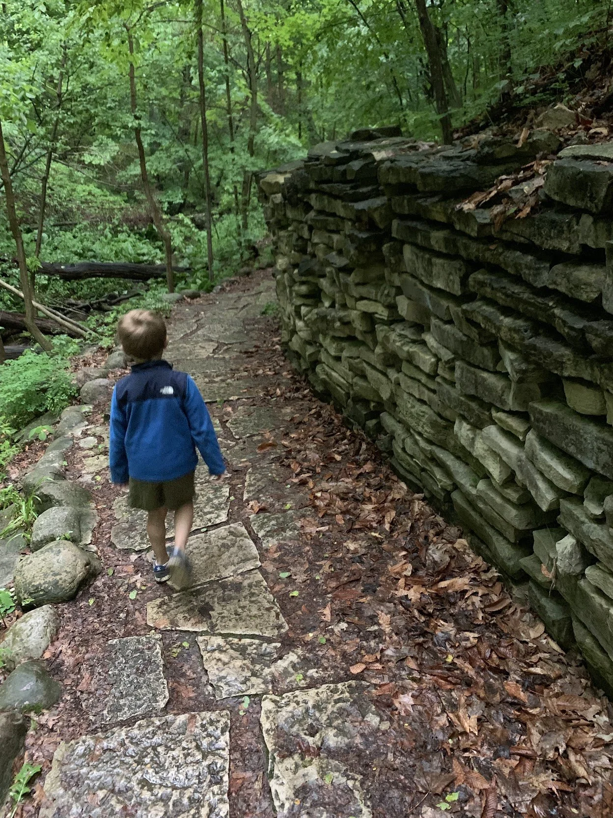 Seven Bridges Trail: Milwaukee's Most Magical Hike — North Shore Family ...