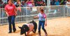 How to Get into Wisconsin State Fair for Free — North Shore Family ...