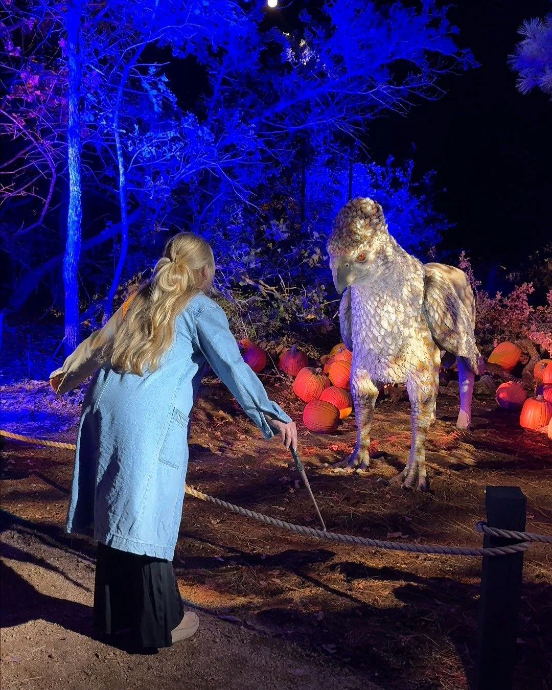 Harry Potter Forbidden Forest Experience: A Family Guide — North Shore ...
