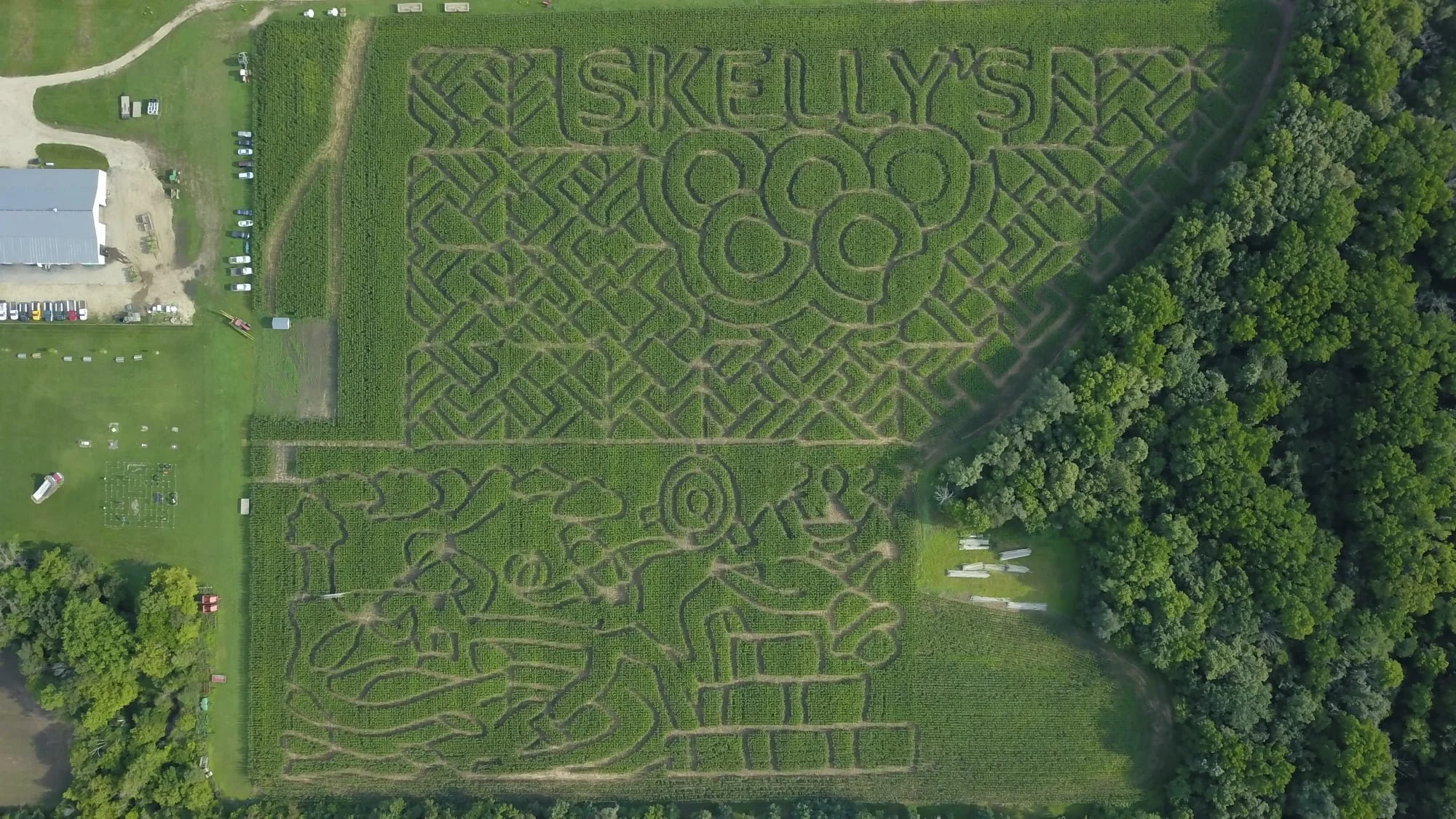 Guide to Milwaukee's Best Corn Mazes (2025) — North Shore Family Adventures