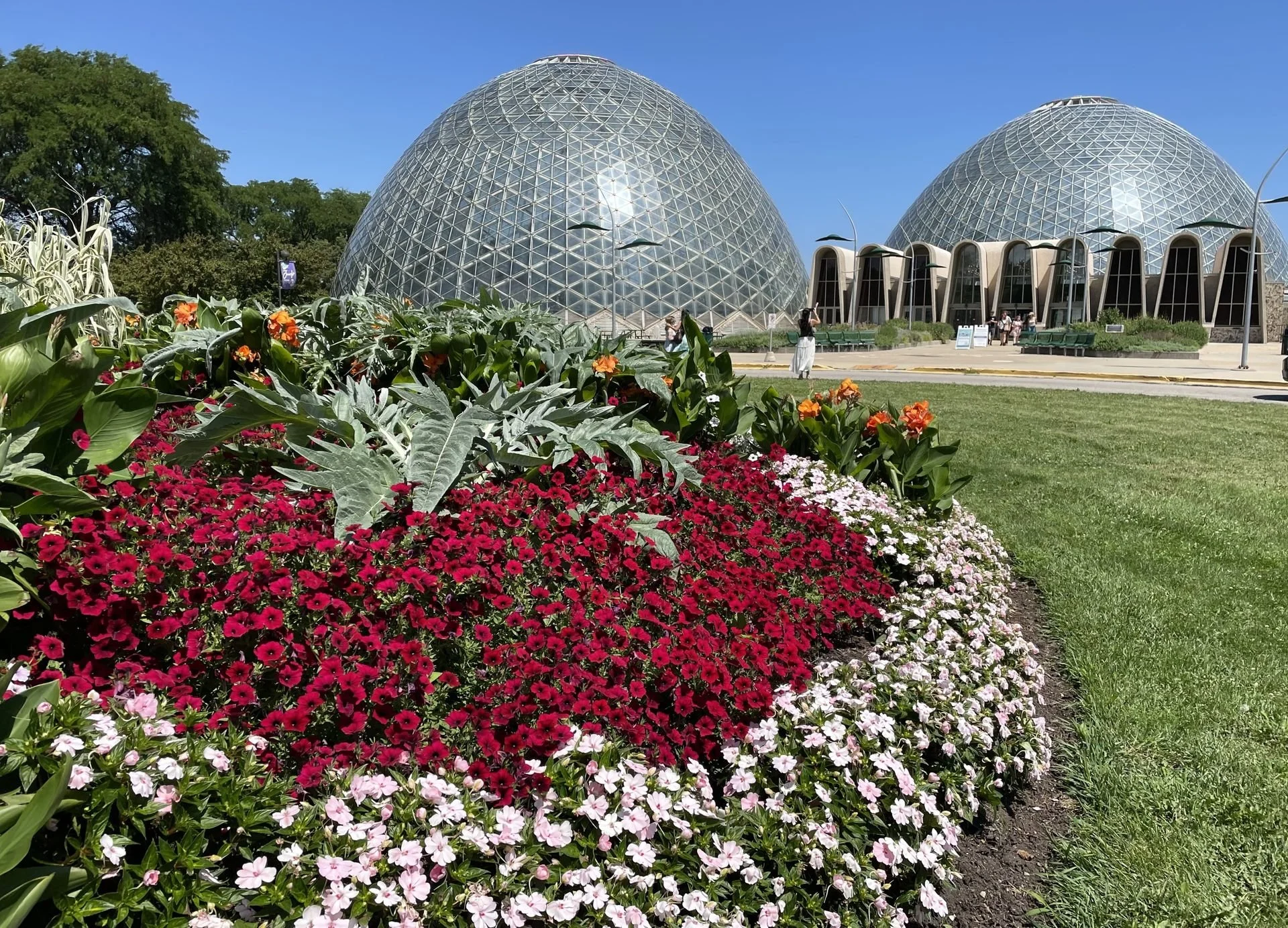 The Domes: A Guide to Milwaukee Under Glass — North Shore Family Adventures