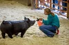 Ozaukee County Fair 2026: Complete Family Guide — North Shore Family ...