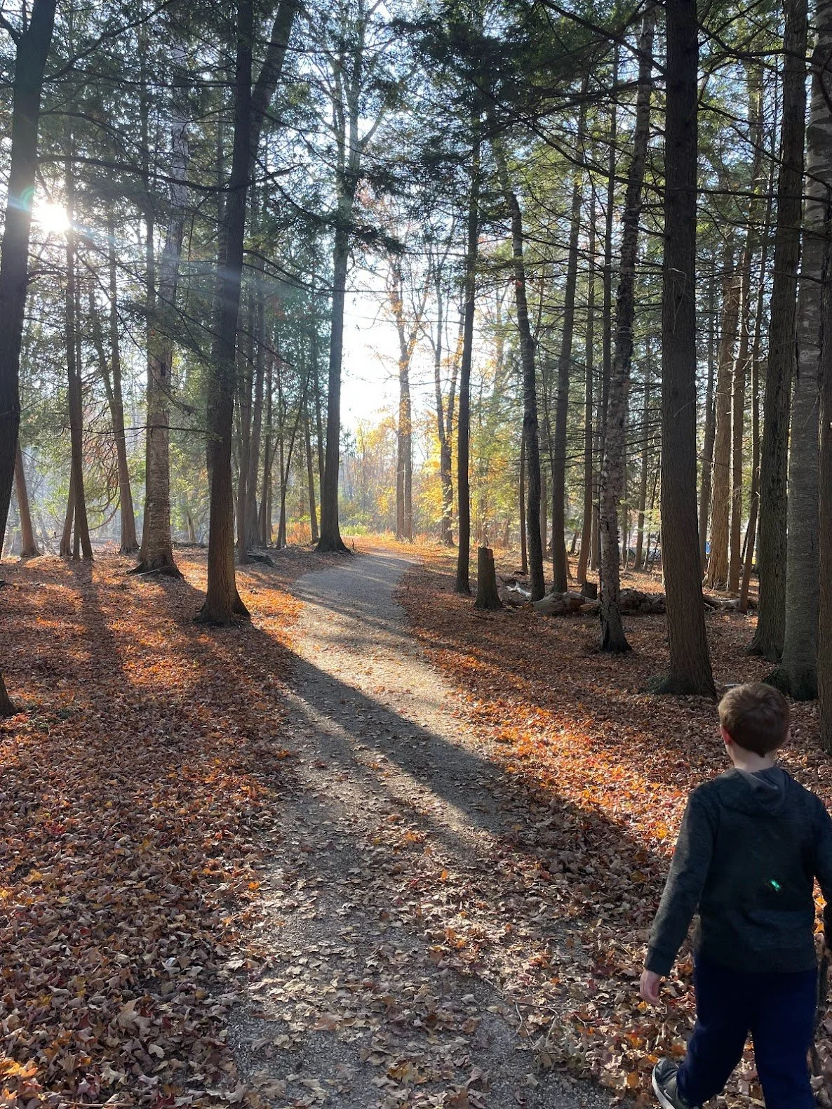 The Complete Hiker's Guide to Door County, Wisconsin — North Shore ...