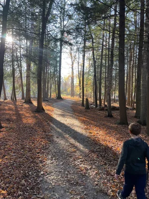 The Complete Hiker's Guide to Door County, Wisconsin — North Shore ...