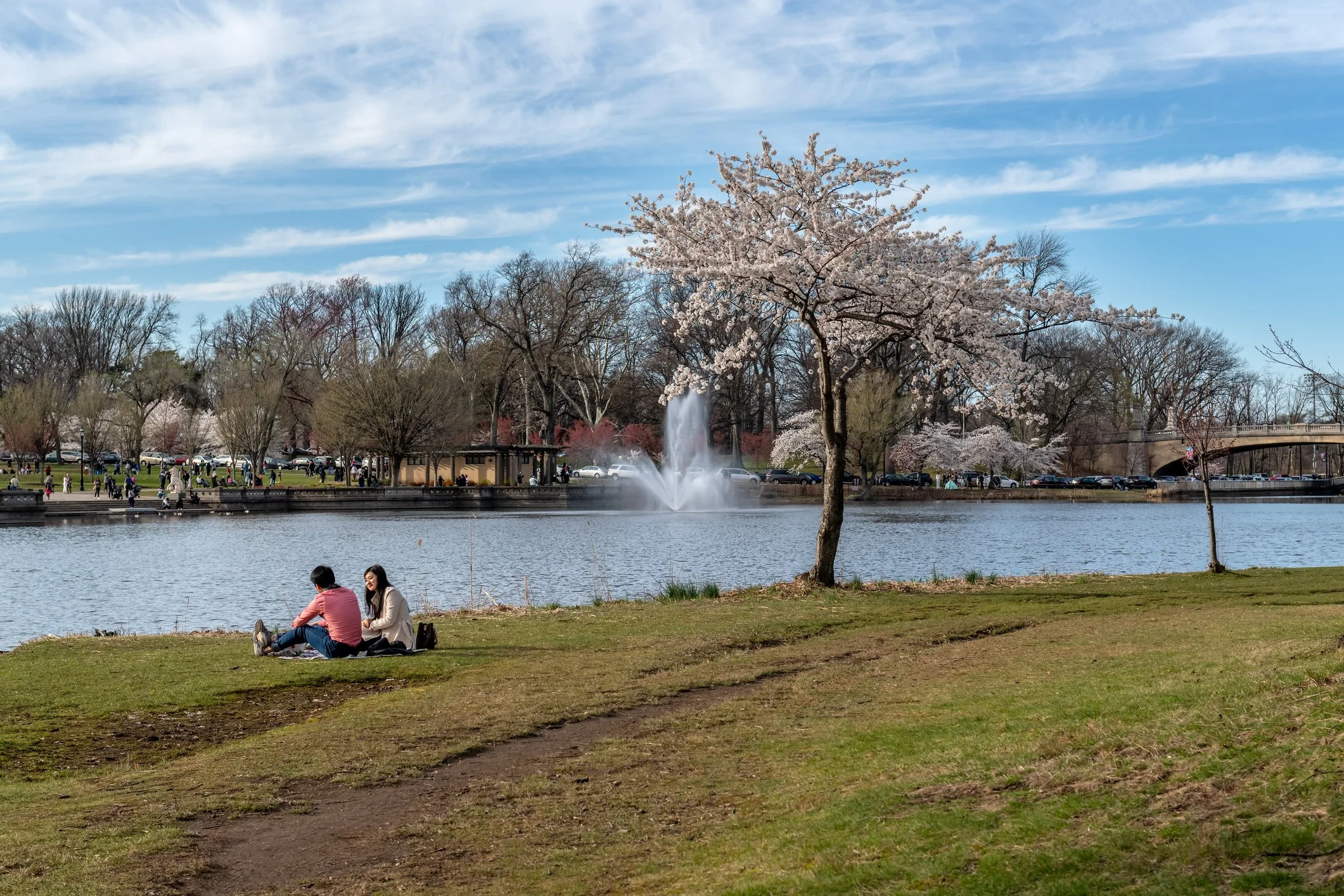 Newark Parks & Green Spaces