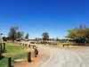 Accommodation — Kulgera Roadhouse