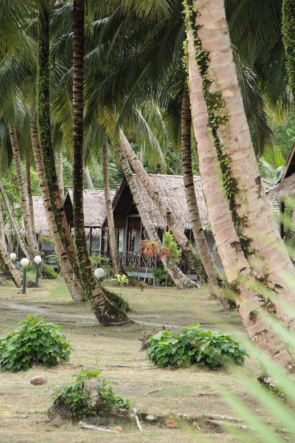 Awera Resort Mentawai | Luxury Surf Resort in Awera Island — The Indo ...