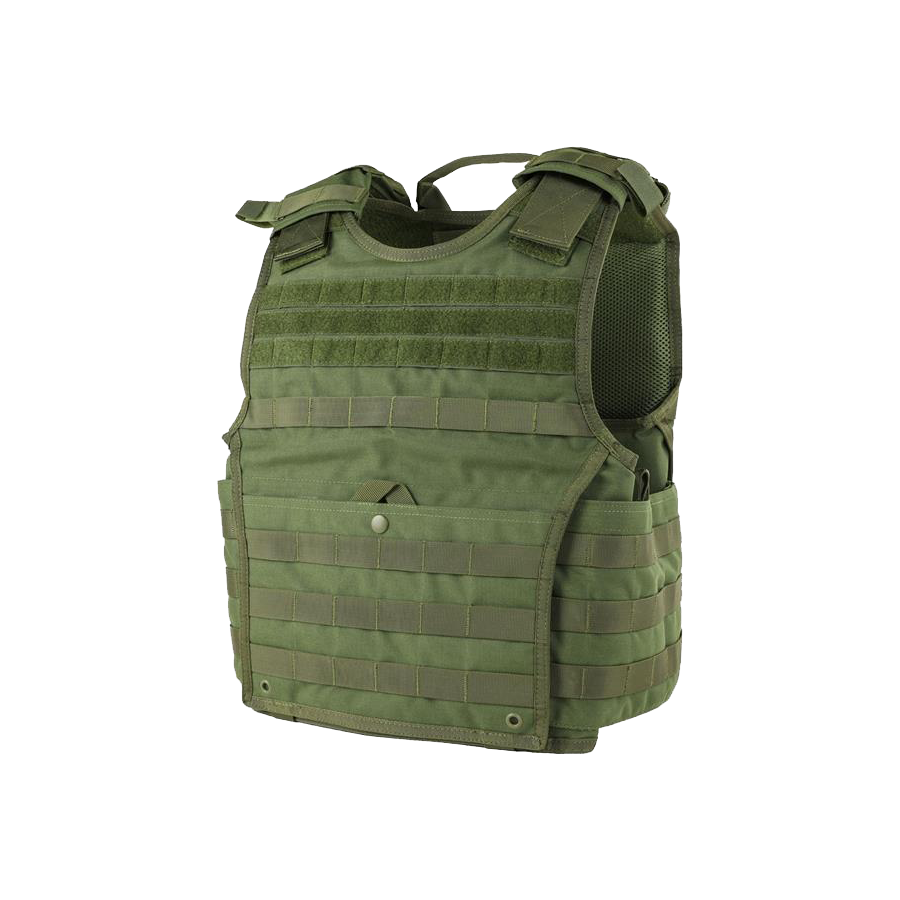Plate Carrier Builds — Functional Reserve Militia