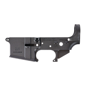 NCR Service Rifle Build — Functional Reserve Militia