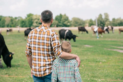 Understanding Tennessee's FONCE Exemption: A Guide for Family-Owned ...