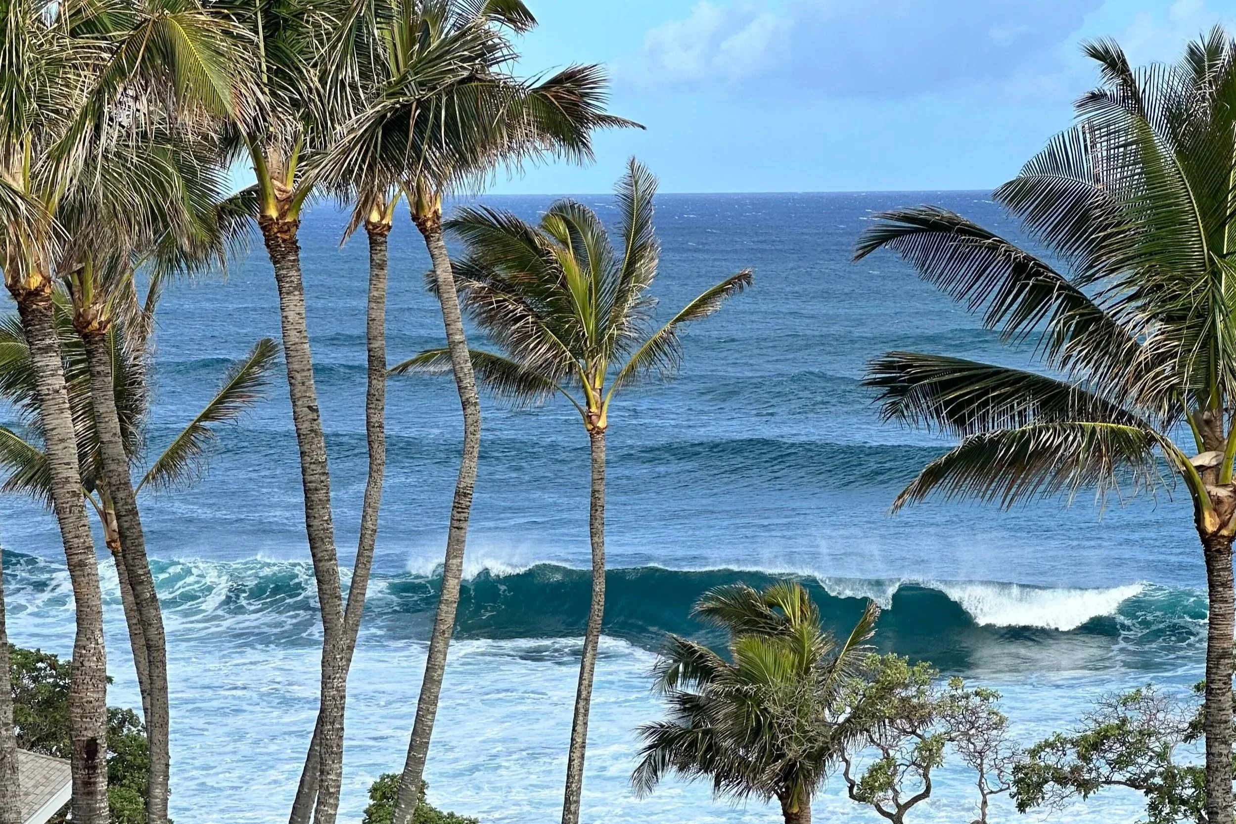 Ritz-Carlton Turtle Bay Review: Luxury Resort on Oʻahu's North Shore ...