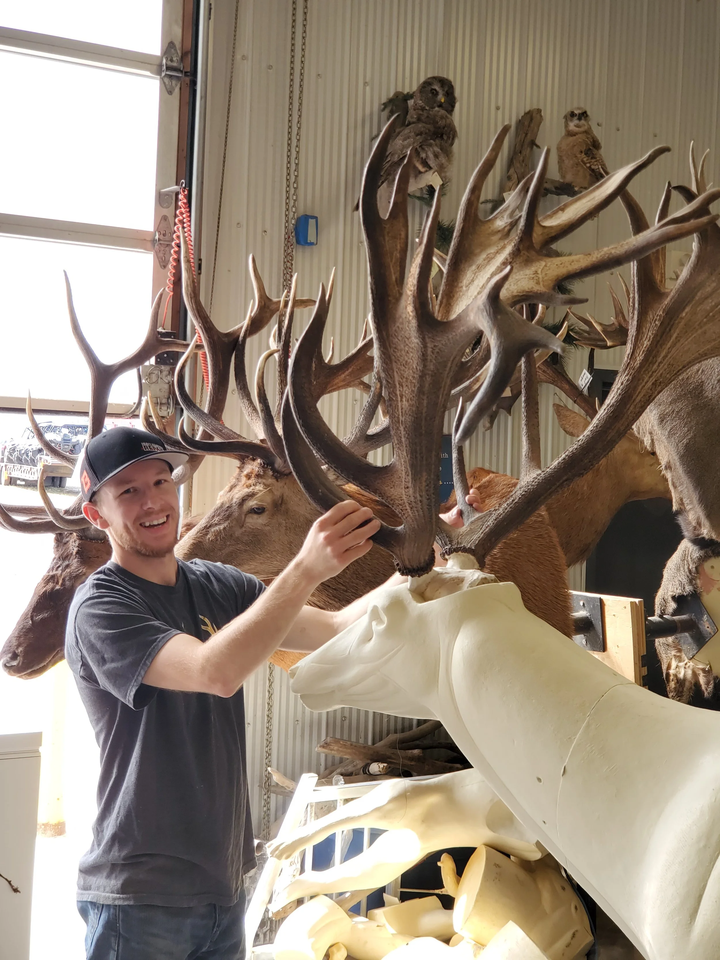 Contact — Dave Booth Taxidermy