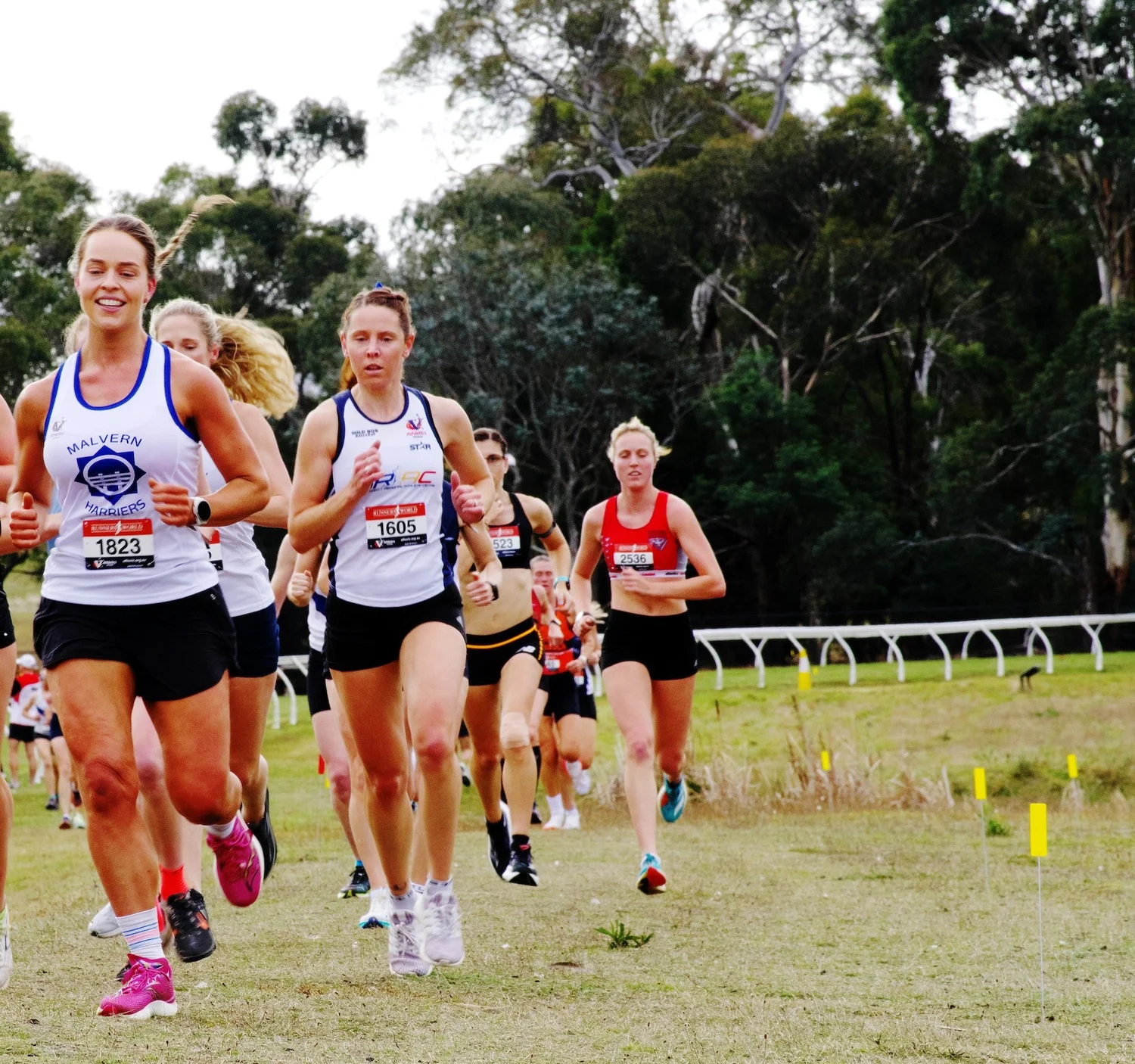 Malvern Harriers