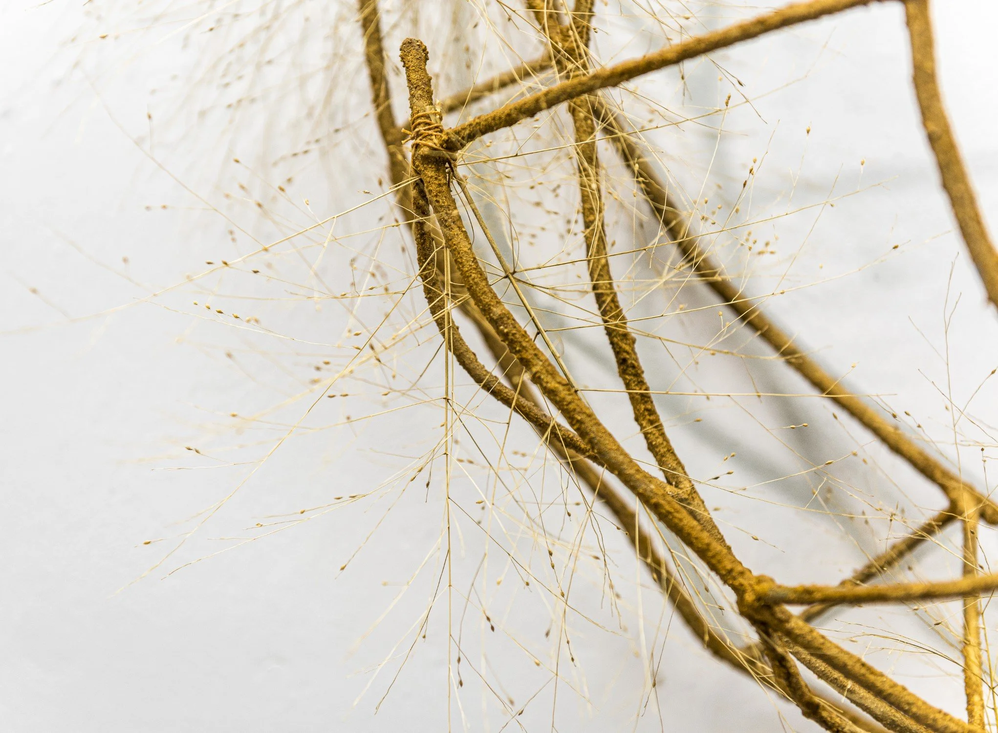 Interiority Complex — Harriet Goodall