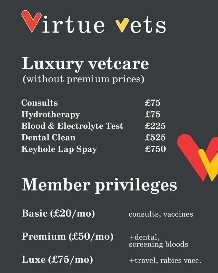 Vets in London | Trusted Veterinary Care at Virtue Vets