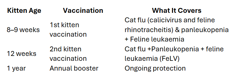 Kitten Vaccinations: Schedule, Cost & More — Virtue Vets