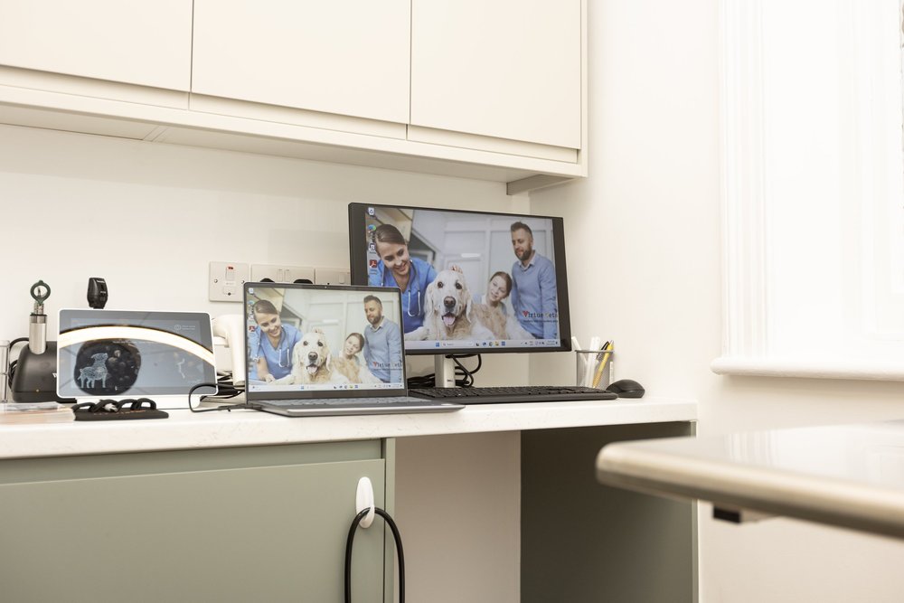 Services & Prices | Explore Our Vet Prices & Services — Virtue Vets