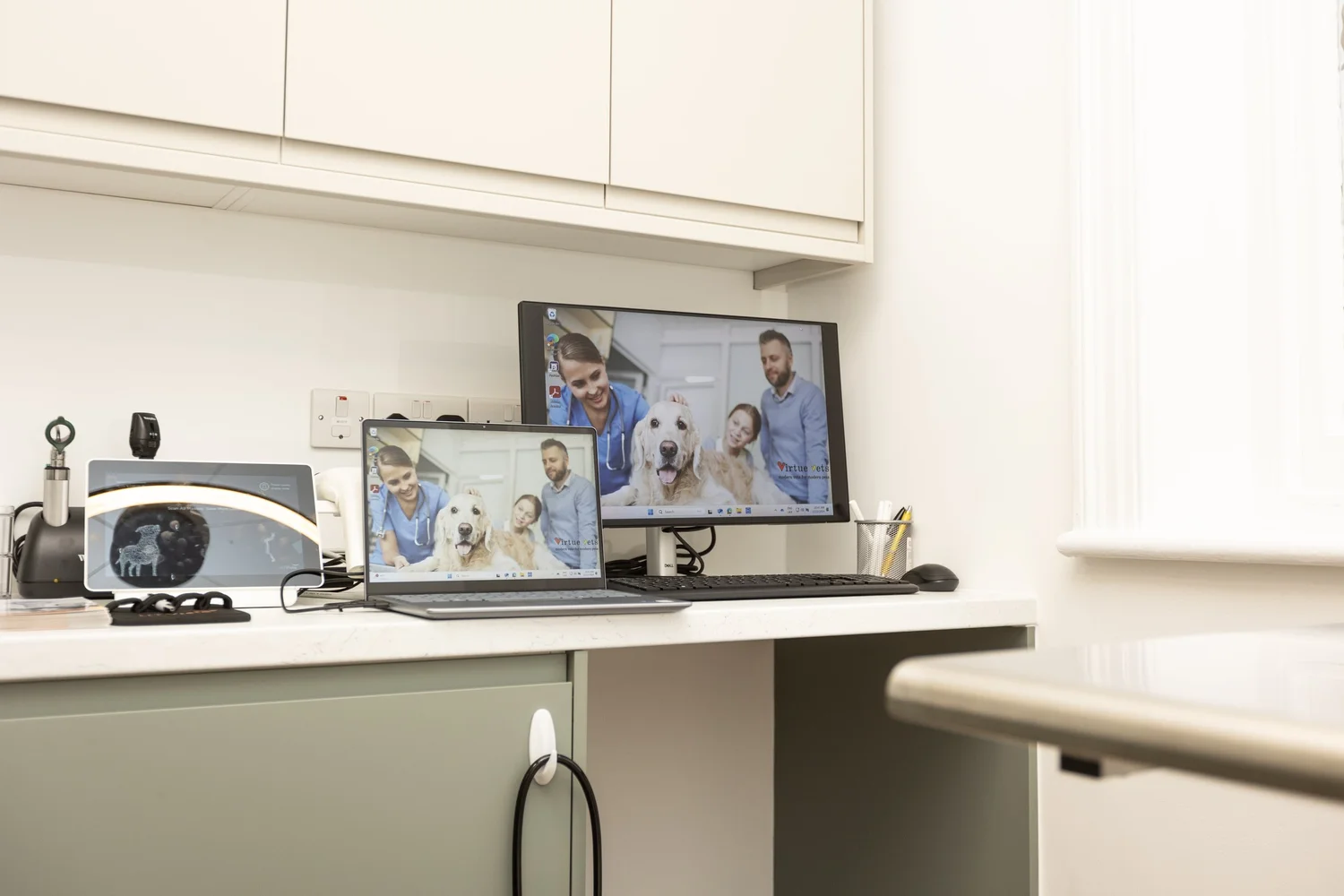 Services & Prices | Explore Our Vet Prices & Services — Virtue Vets