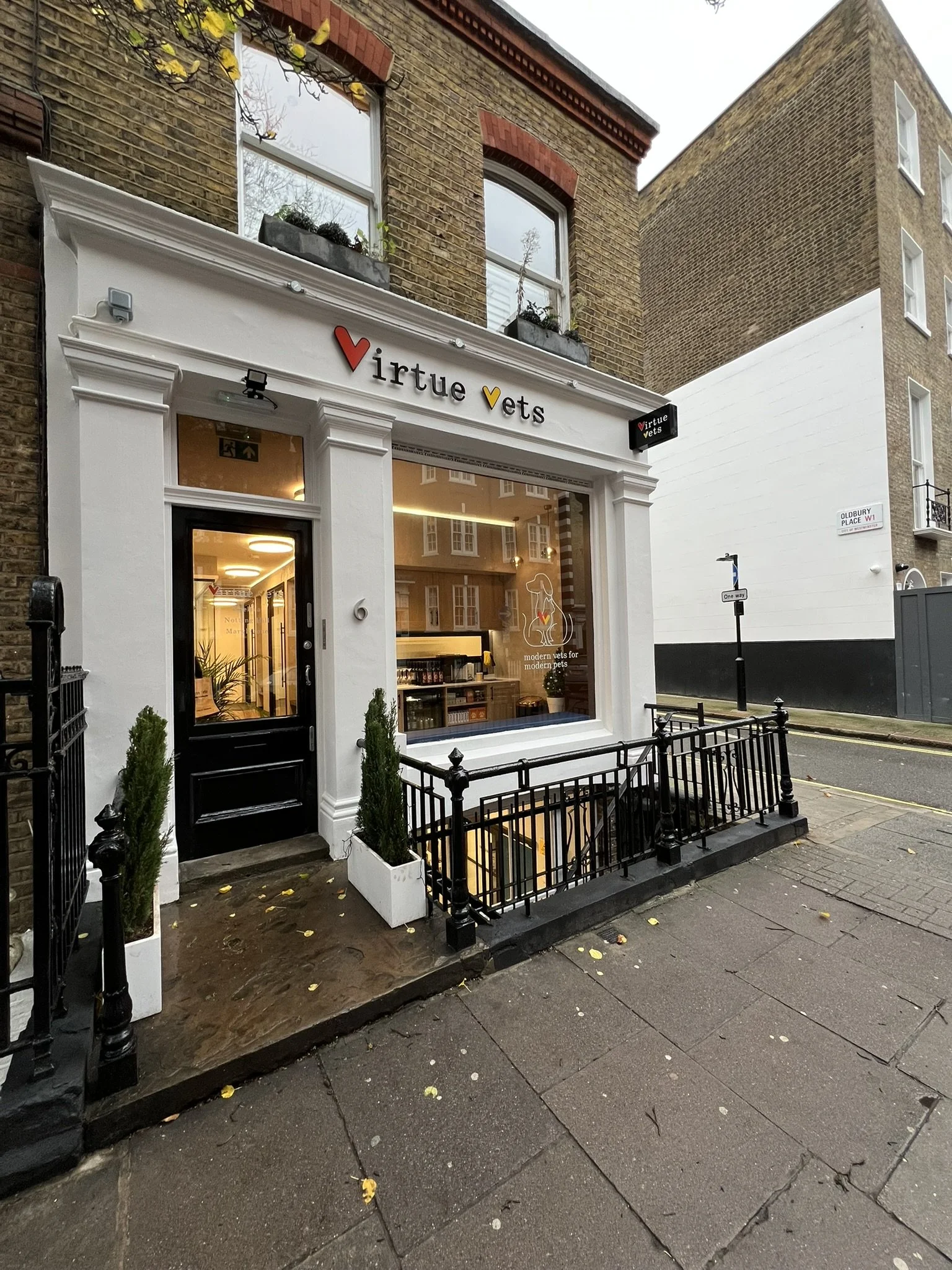 Vets in London | Trusted Veterinary Care at Virtue Vets