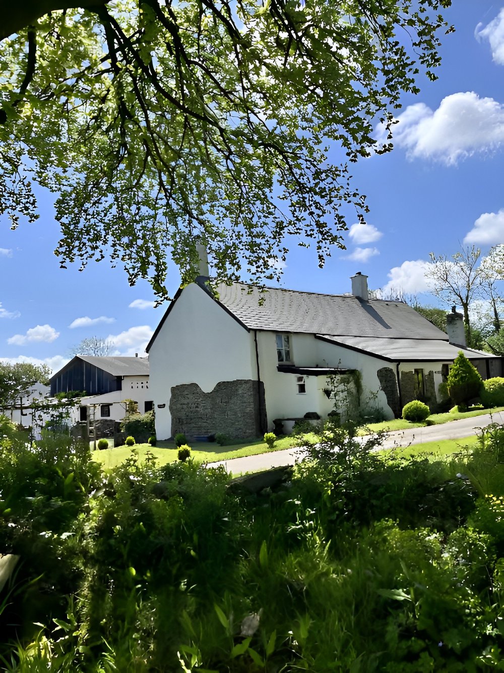 Dipple Farm for peaceful, greener camping