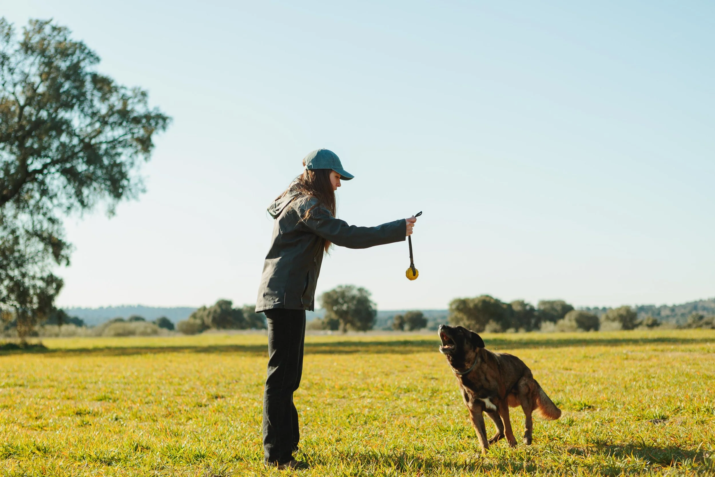 Perro Loco Educación Canina y Adiestramiento de perros