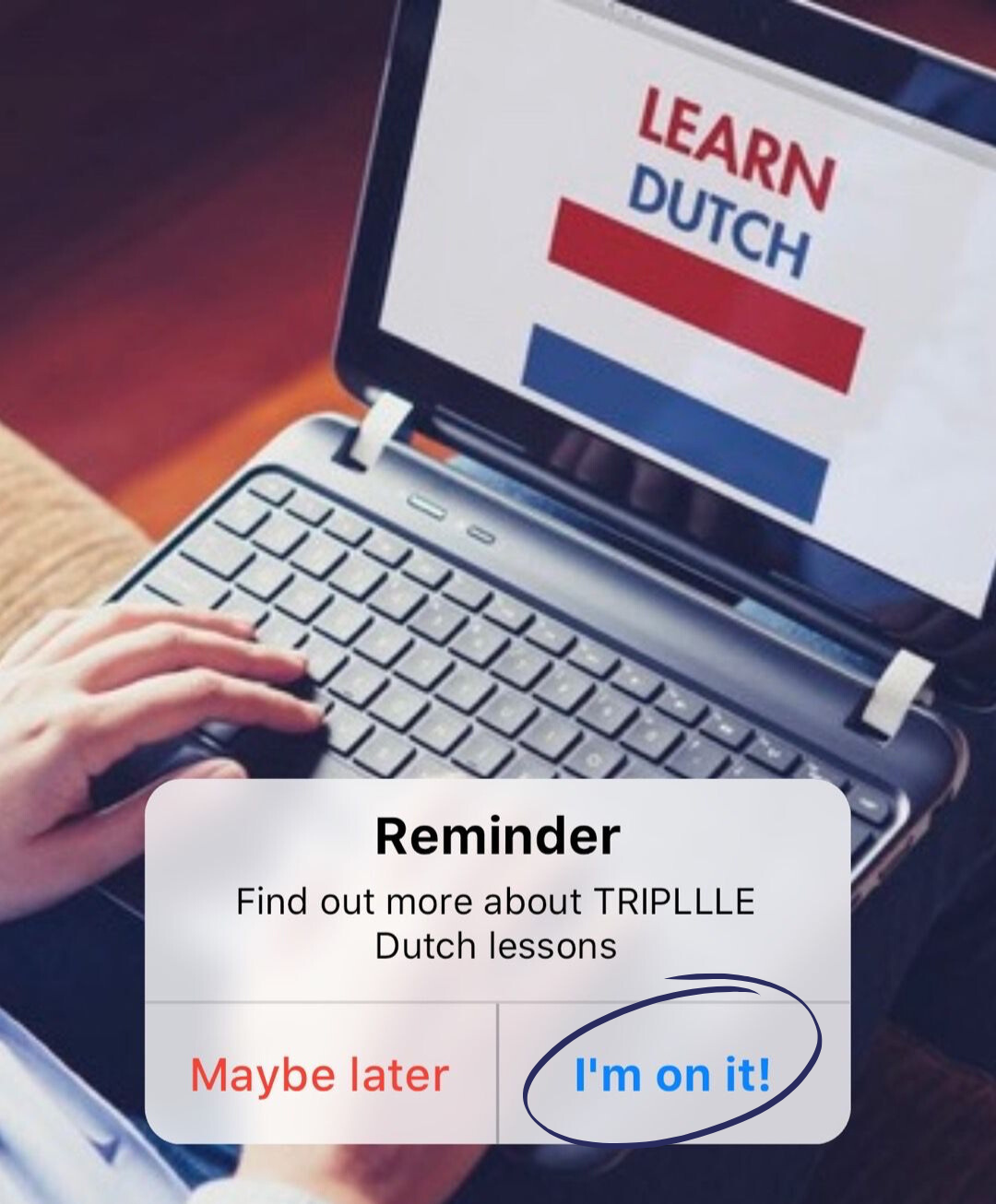 Contact — TRIPLLLE - Dutch Language & Location Lessons