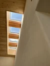 Build With Nature
